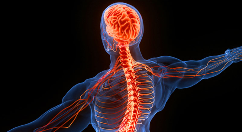 Home | Advanced Neurosurgery Associates